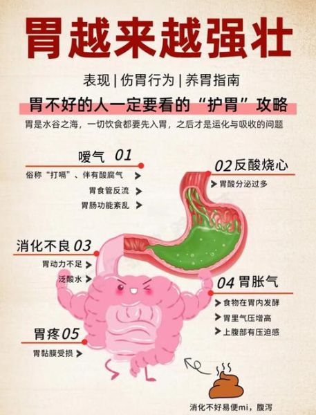 肠胃不好吃什么养胃_如何调理肠胃最有效-第2张图片-山城妙识 肠胃不好吃什么养胃_如何调理肠胃最有效-第2张图片-山城妙识