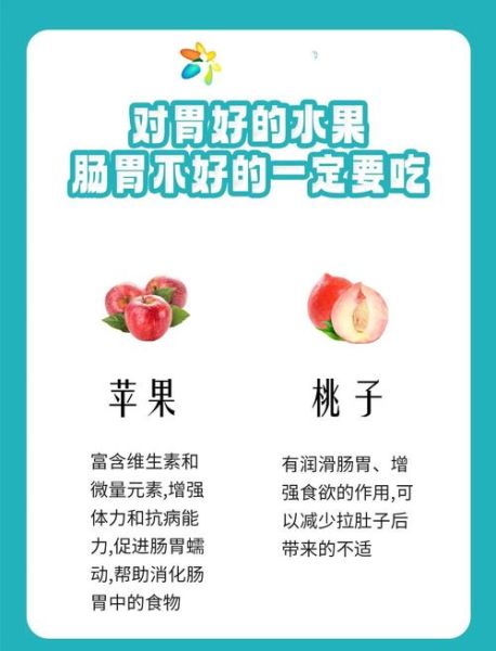 肠胃不好吃什么养胃_如何调理肠胃最有效-第1张图片-山城妙识 肠胃不好吃什么养胃_如何调理肠胃最有效-第1张图片-山城妙识