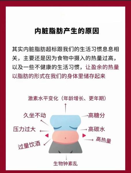 如何科学减脂_健康减脂肪最佳方法-第2张图片-山城妙识