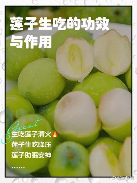 莲子生吃有什么好处_莲子生吃有副作用吗-第1张图片-山城妙识