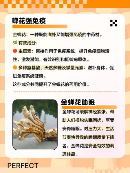 蝉花能提高免疫力吗_蝉花功效与作用有哪些-第1张图片-山城妙识