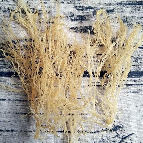 海藻龙须菜的功效与作用_龙须菜怎么吃最营养-第1张图片-山城妙识