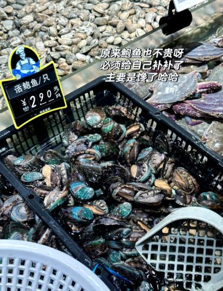 清蒸鲍鱼汁怎么调_清蒸鲍鱼汁配方比例-第1张图片-山城妙识 清蒸鲍鱼汁怎么调_清蒸鲍鱼汁配方比例-第1张图片-山城妙识