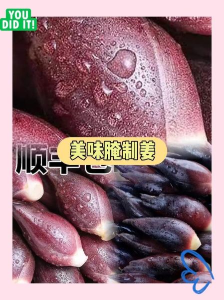 洋荷姜怎么吃_洋荷姜的做法大全-第3张图片-山城妙识 洋荷姜怎么吃_洋荷姜的做法大全-第3张图片-山城妙识