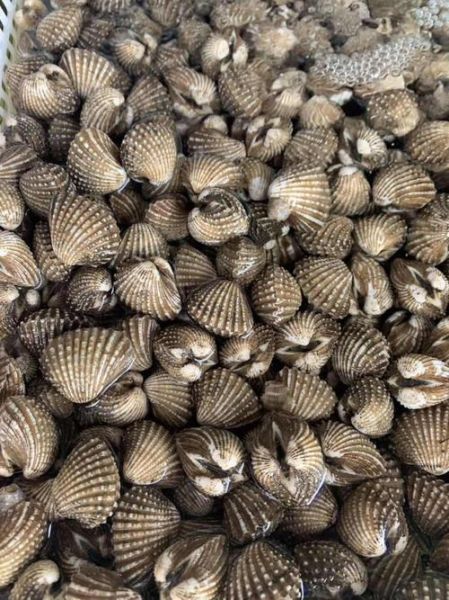 血螺怎么吃_血螺的营养价值-第3张图片-山城妙识