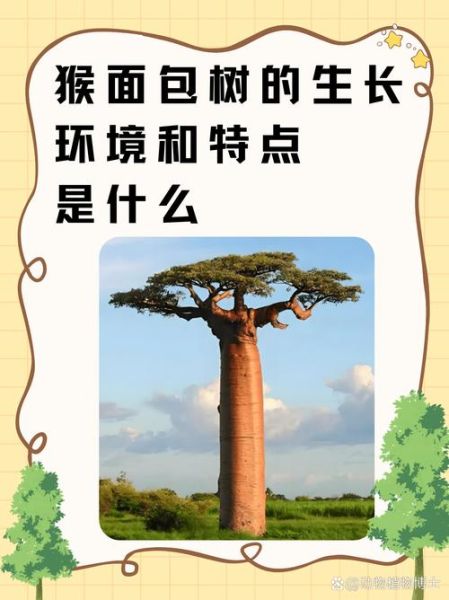 面包树原产自哪里_面包树原产地是哪个国家-第2张图片-山城妙识