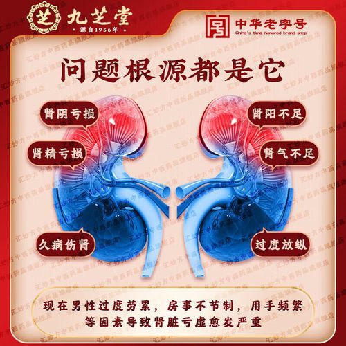 飞机打多了阴阳两虚吃什么药_多久能恢复-第1张图片-山城妙识