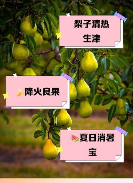 降火的水果有哪些_哪些水果清热去火效果好-第3张图片-山城妙识