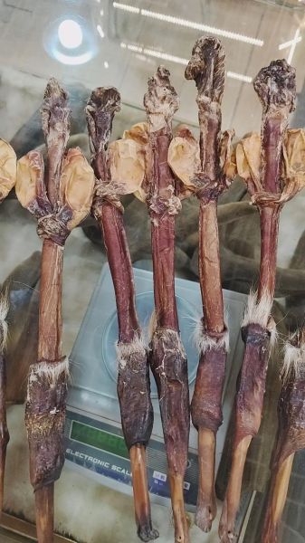 鹿鞭多少钱一根_正宗鹿鞭价格行情-第3张图片-山城妙识 鹿鞭多少钱一根_正宗鹿鞭价格行情-第3张图片-山城妙识