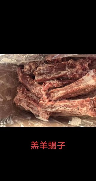 羊蝎子是什么垃圾_羊蝎子属于哪类垃圾-第1张图片-山城妙识 羊蝎子是什么垃圾_羊蝎子属于哪类垃圾-第1张图片-山城妙识