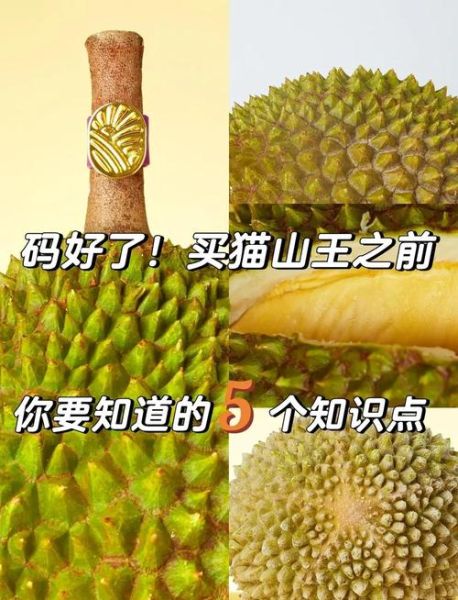 榴莲图片大全图片真实_如何辨别真假榴莲照片-第2张图片-山城妙识