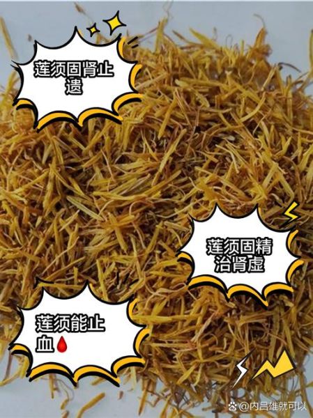 莲须的功效与作用_莲须泡水喝的禁忌-第2张图片-山城妙识