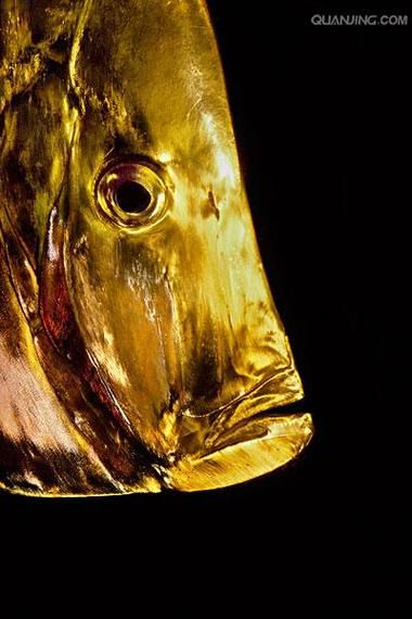 翻车鱼为什么叫翻车鱼_翻车鱼名字的由来-第2张图片-山城妙识