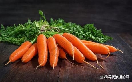 萝卜视频怎么下载_萝卜视频安全吗-第3张图片-山城妙识