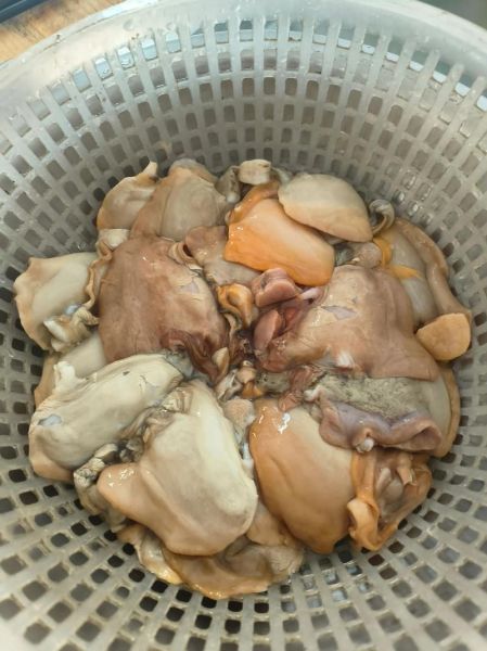 家常河蚌汤怎么做好吃_河蚌汤去腥技巧-第3张图片-山城妙识 家常河蚌汤怎么做好吃_河蚌汤去腥技巧-第3张图片-山城妙识