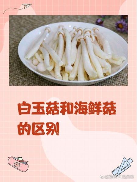 白玉菇图片大全_白玉菇和海鲜菇的区别-第1张图片-山城妙识 白玉菇图片大全_白玉菇和海鲜菇的区别-第1张图片-山城妙识