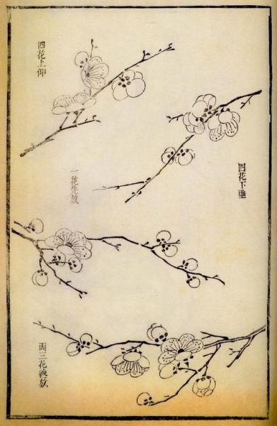芥子园画谱适合初学者吗_芥子园画谱怎么学-第2张图片-山城妙识 芥子园画谱适合初学者吗_芥子园画谱怎么学-第2张图片-山城妙识