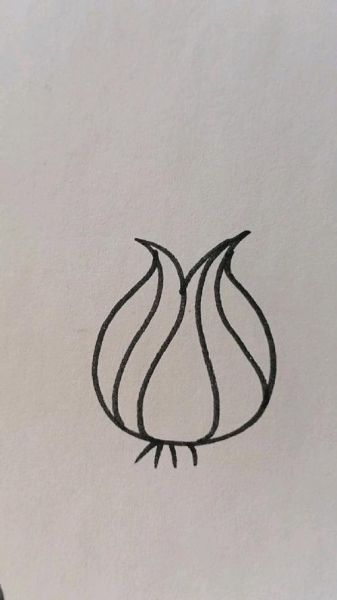大蒜简笔画怎么画_大蒜图片简笔画教程-第2张图片-山城妙识