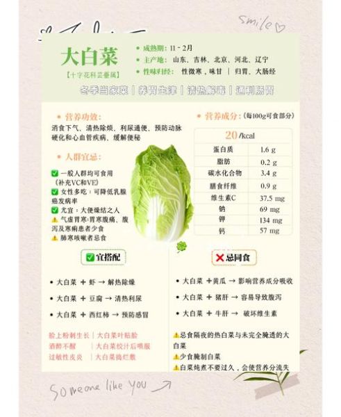 大白菜的功效与作用_大白菜的禁忌有哪些-第1张图片-山城妙识 大白菜的功效与作用_大白菜的禁忌有哪些-第1张图片-山城妙识