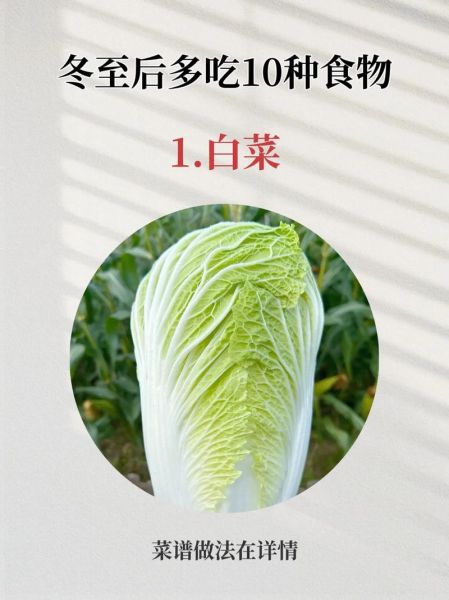 大白菜的功效与作用_大白菜的禁忌有哪些-第3张图片-山城妙识 大白菜的功效与作用_大白菜的禁忌有哪些-第3张图片-山城妙识