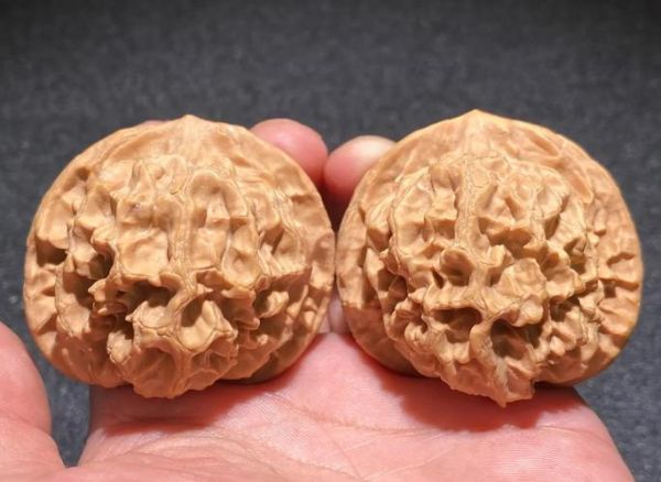 核桃青皮中毒症状_核桃青皮怎么处理-第2张图片-山城妙识 核桃青皮中毒症状_核桃青皮怎么处理-第2张图片-山城妙识