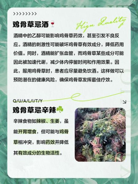 鸡骨草哪些人不能吃_鸡骨草禁忌人群有哪些-第1张图片-山城妙识 鸡骨草哪些人不能吃_鸡骨草禁忌人群有哪些-第1张图片-山城妙识