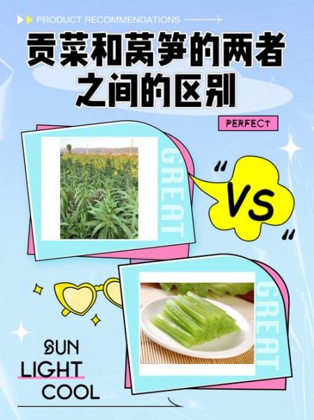 贡菜长什么样子_贡菜和莴笋的区别-第3张图片-山城妙识 贡菜长什么样子_贡菜和莴笋的区别-第3张图片-山城妙识
