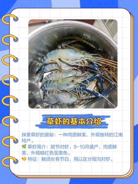 草虾和基围虾的区别_哪个更好吃-第2张图片-山城妙识 草虾和基围虾的区别_哪个更好吃-第2张图片-山城妙识
