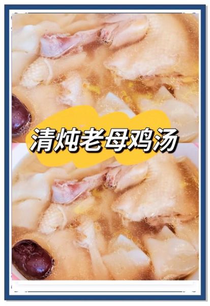 老母鸡怎么炖汤好喝又营养_炖老母鸡汤的正确方法-第1张图片-山城妙识