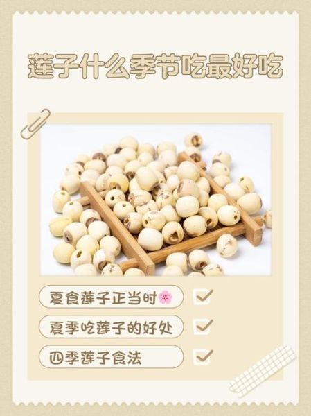 莲子怎么吃最好_莲子一天吃多少粒合适-第2张图片-山城妙识