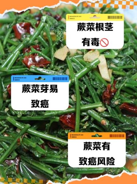 蕨菜致癌是真的吗_要少吃吗-第1张图片-山城妙识