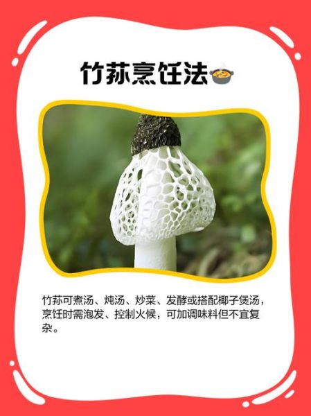 竹荪菌盖能吃吗_竹荪菌盖怎么处理-第3张图片-山城妙识