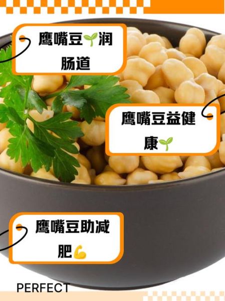 鹰嘴豆豆浆怎么做_鹰嘴豆豆浆的功效与禁忌-第2张图片-山城妙识 鹰嘴豆豆浆怎么做_鹰嘴豆豆浆的功效与禁忌-第2张图片-山城妙识