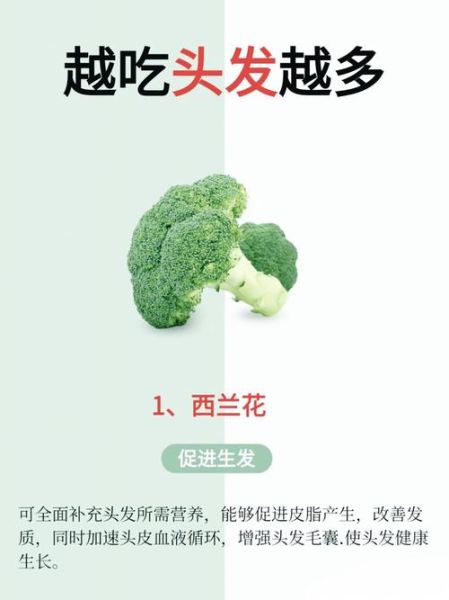 脱发吃什么好_脱发吃什么食物能改善-第3张图片-山城妙识 脱发吃什么好_脱发吃什么食物能改善-第3张图片-山城妙识