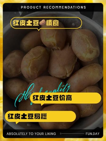 红皮土豆的危害_红皮土豆真的有毒吗-第1张图片-山城妙识 红皮土豆的危害_红皮土豆真的有毒吗-第1张图片-山城妙识