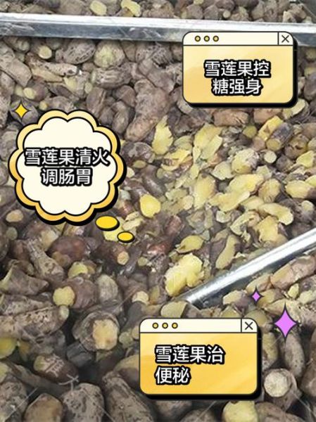 雪莲果怎么吃好吃_雪莲果的正确吃法-第2张图片-山城妙识 雪莲果怎么吃好吃_雪莲果的正确吃法-第2张图片-山城妙识