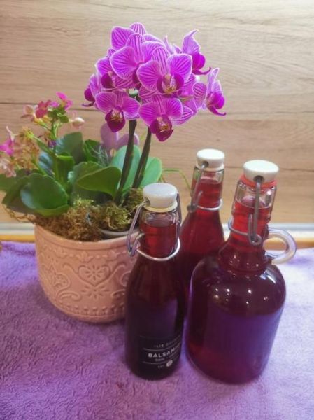 葡萄汁怎么榨好喝窍门_葡萄榨汁不涩的技巧-第2张图片-山城妙识