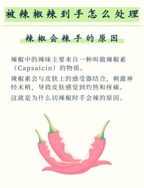 辣椒辣的手疼怎么缓解_切辣椒后手灼烧怎么办-第3张图片-山城妙识 辣椒辣的手疼怎么缓解_切辣椒后手灼烧怎么办-第3张图片-山城妙识