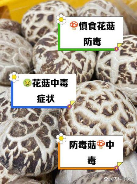 花菇癌症患者不能吃_为什么不能吃-第1张图片-山城妙识 花菇癌症患者不能吃_为什么不能吃-第1张图片-山城妙识
