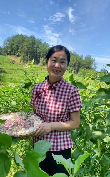 辣蓼草酒曲怎么做_辣蓼草酒曲配方比例-第1张图片-山城妙识