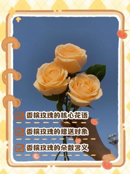 香槟玫瑰花语是什么意思_适合送什么人-第1张图片-山城妙识 香槟玫瑰花语是什么意思_适合送什么人-第1张图片-山城妙识