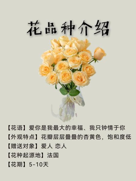 香槟玫瑰花语是什么意思_适合送什么人-第2张图片-山城妙识 香槟玫瑰花语是什么意思_适合送什么人-第2张图片-山城妙识