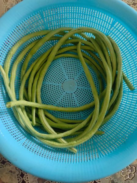 生腌豇豆怎么做_生腌豇豆要腌多久-第2张图片-山城妙识 生腌豇豆怎么做_生腌豇豆要腌多久-第2张图片-山城妙识