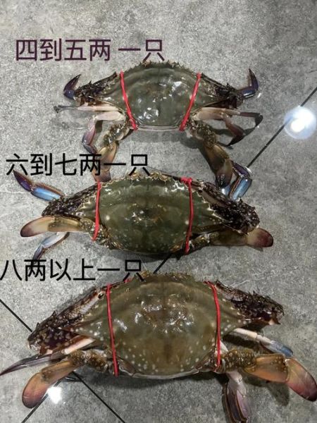 石头蟹怎么区分_石头蟹和梭子蟹的区别-第3张图片-山城妙识 石头蟹怎么区分_石头蟹和梭子蟹的区别-第3张图片-山城妙识