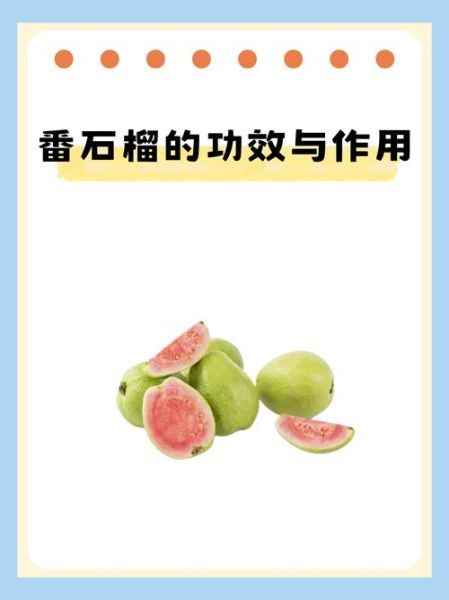 石榴对身体有什么好处_石榴的功效与作用-第2张图片-山城妙识 石榴对身体有什么好处_石榴的功效与作用-第2张图片-山城妙识