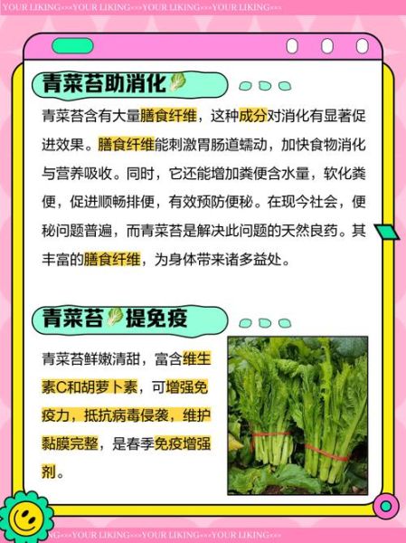 苔菜的营养价值_苔菜怎么吃最健康-第1张图片-山城妙识