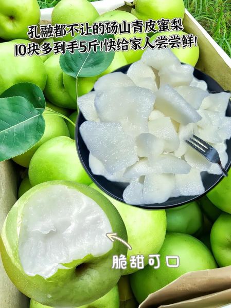 翠玉梨的营养价值_翠玉梨吃了有什么好处-第2张图片-山城妙识