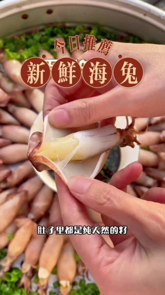 海兔鱿鱼样子有区别吗_如何一眼区分-第1张图片-山城妙识