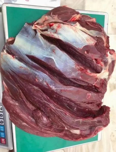 鹿肉怎么做好吃_鹿肉的做法大全视频-第2张图片-山城妙识 鹿肉怎么做好吃_鹿肉的做法大全视频-第2张图片-山城妙识