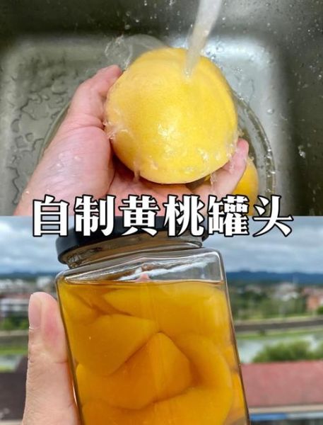 自制黄桃罐头保质期一般多久_如何延长保存时间-第2张图片-山城妙识 自制黄桃罐头保质期一般多久_如何延长保存时间-第2张图片-山城妙识